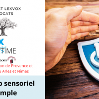 Handicap sensoriel exemple